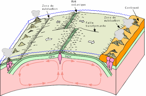 Exposé complet, Tectonique des plaques