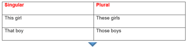 The characteristics of adjectives
