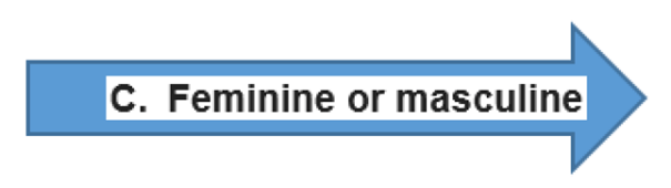 The characteristics of adjectives
